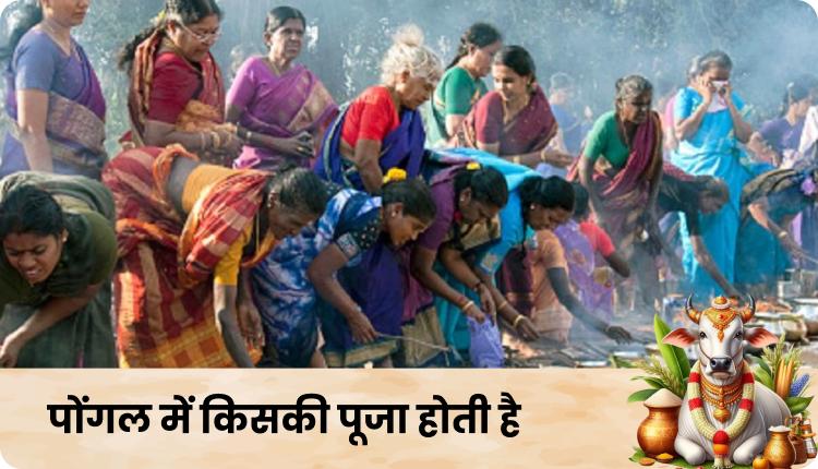 Pongal Me Kiski Puja Hoti Hai | पोंगल में किसकी पूजा होती है