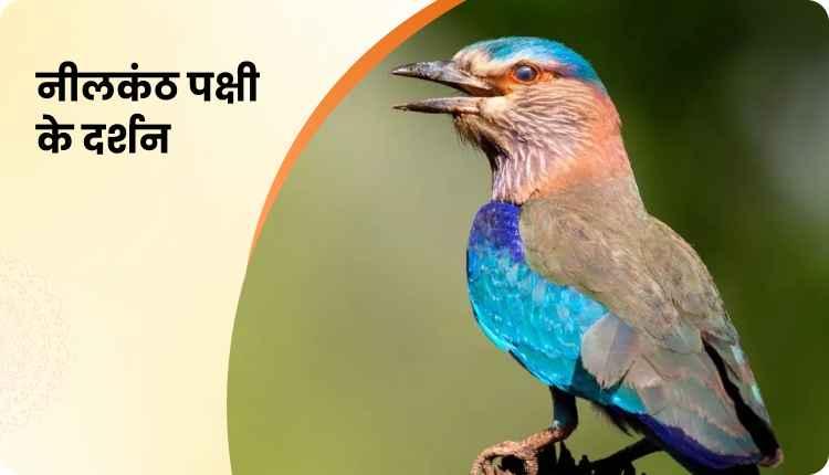 नीलकंठ पक्षी के दर्शन | Neelkanth Pakshi Ke Darshan
