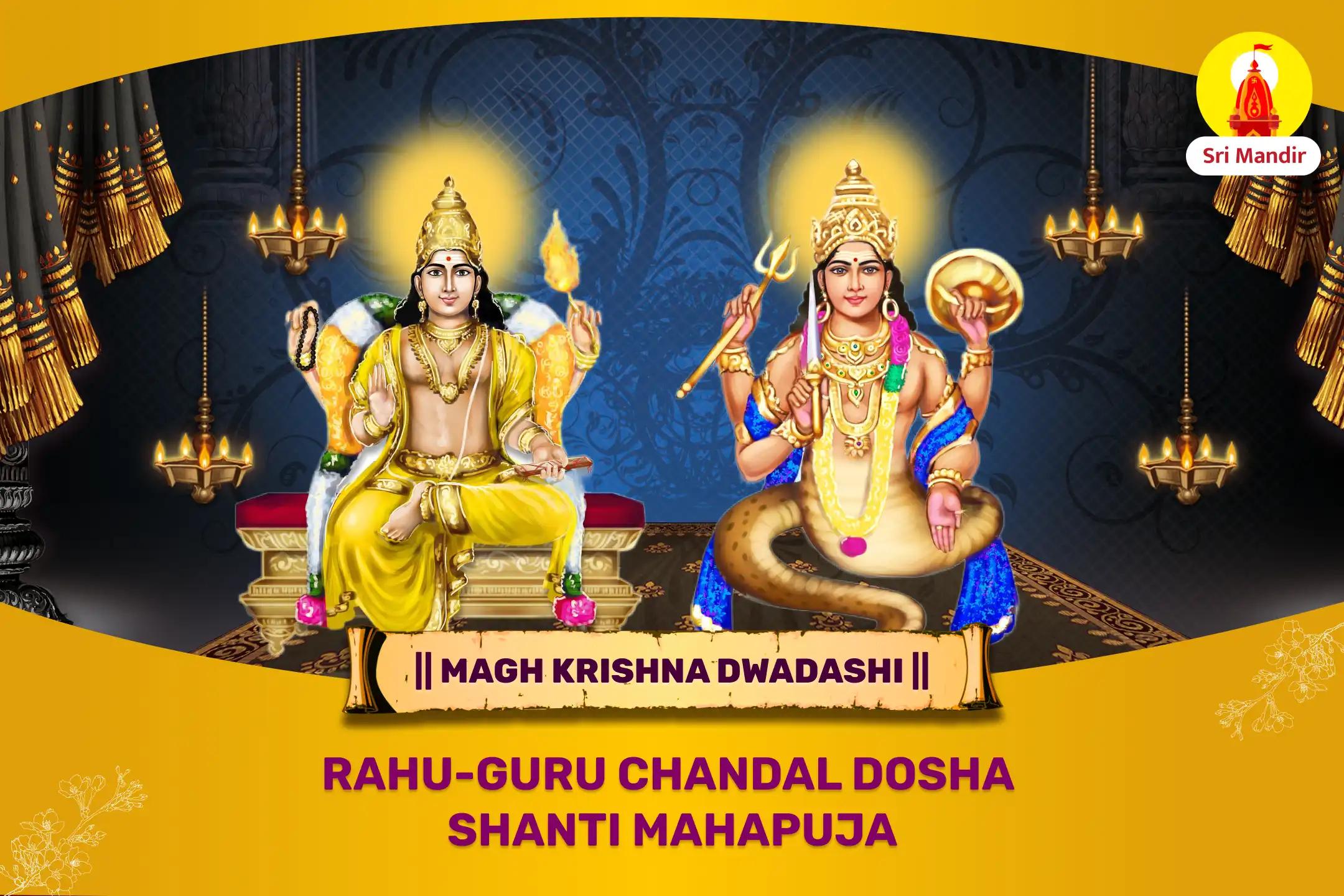 Rahu-Guru Chandal Dosha Shanti Mahapuja