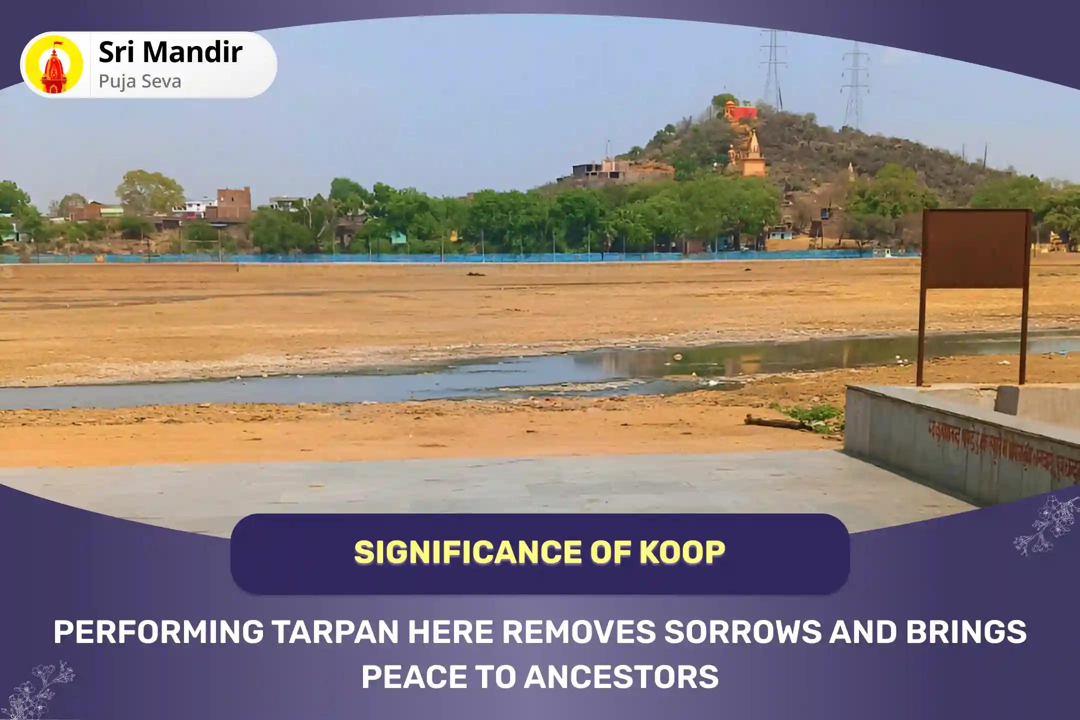 Darsha Amavasya Gaya Special Narayan Bali, Naag Bali and Pitru Shanti ...